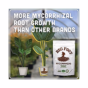 Big Foot Mycorrhizal Granular (4 OZ) with Kelp, Biochar, Worm Castings, Humic Acid, Trace Minerals| Treat Soil or 32-1 Gallon Pots |