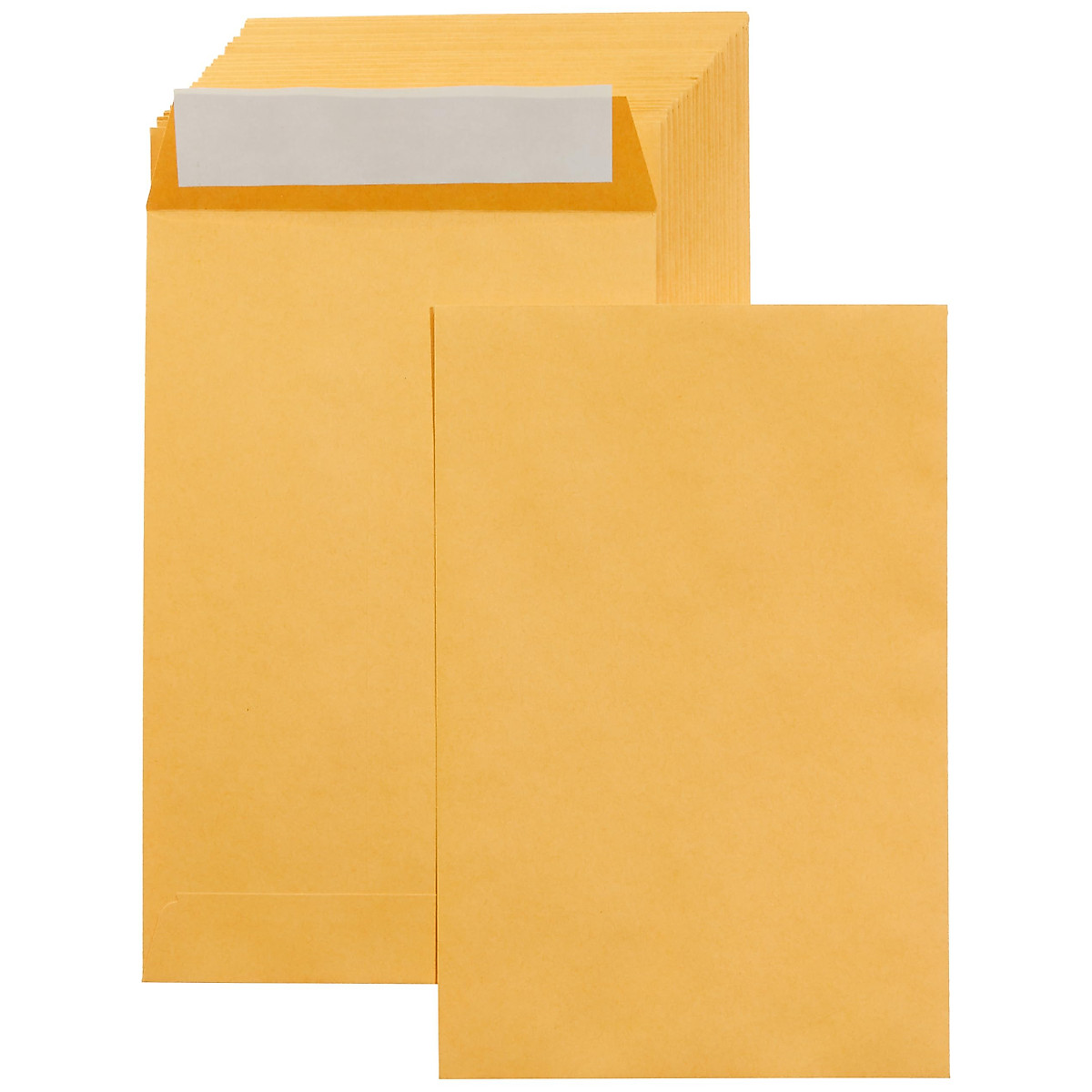 Amazon Basics Catalog Mailing Envelopes, Peel & Seal, 6x9 Inch, Brown Kraft, 100-Pack