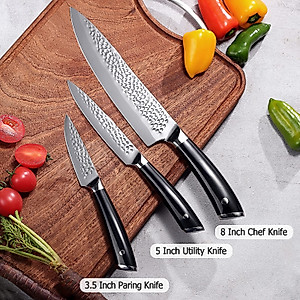PAUDIN Kitchen Knives Set of 3, Sharp Chef Knife Set with Ergonomic ABS Handle, High Carbon Stainless Steel Knife Set, Professional Hammered Series Knives Set for Kitchen with Gift Box