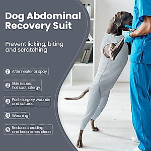 Nanaki Dog Wound Care Shirt,Dog Leg Sleeve To Stop Licking Rear Leg,Dog Surgery Suit Female Spay Male Neuter,Dog Onesie For Surgery Female Male,Dog Surgical Recovery Suit Female Dog Wound Heal Clothes