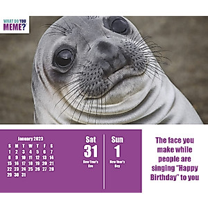 2023 What Do You Meme? Day-at-a-Time Box Calendar