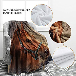 Jekeno Horse Vintage Red Blanket Smooth Soft Print Throw Blanket for Sofa Chair Bed Office Travelling Camping Women Gift 50"x60"