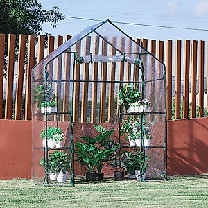 AMERLIFE Mini Walk-in Greenhouse 3 Tier 4 Shelves with PVC Cover and Roll-Up Zipper Door,for Indoor Outdoor Use Extra Hooks Wind Ropes, 77''x56''x29''