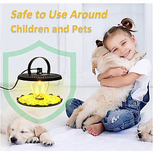 Redeo Flea Trap Refills Discs 8 PCS Sticky Pad Refills 6 Inch Natural Glue Board Replacement for Fleas Bugs, Odorless and Safe for Family and Pets