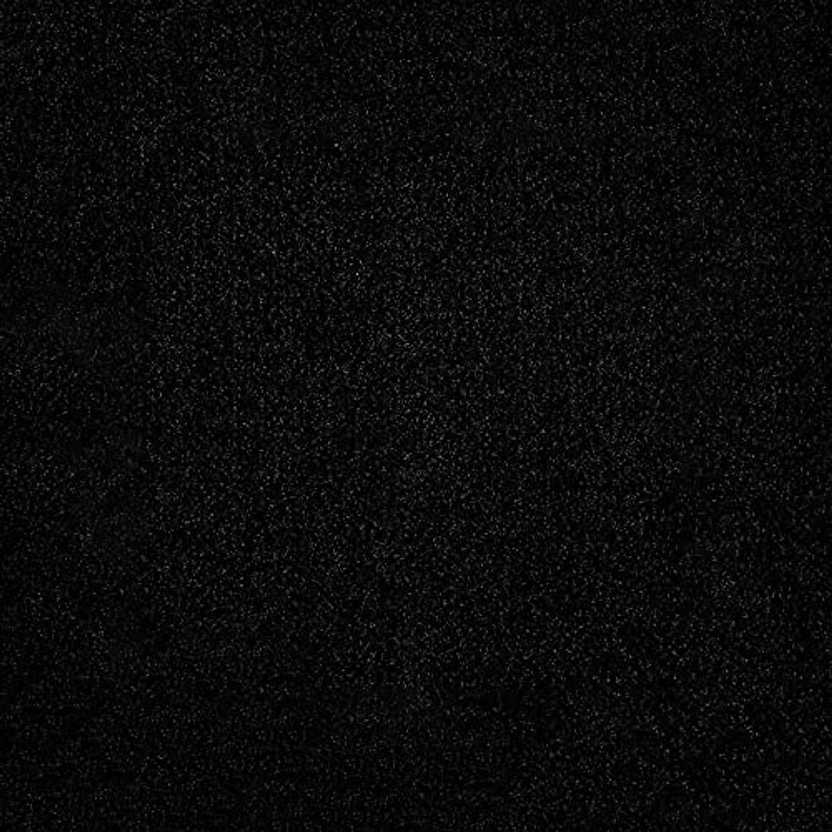 Koeckritz Outdoor Area Rug Carpet, Lightweight for Patios, Gazebos, Sheds, Decks, Garages, Trade Show Booths, Black, 9 x 12