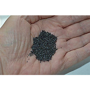 Earthcare Seeds Giant Poppy 250 Seeds (Papaver Somniferum Giganteum) Non GMO - Heirloom