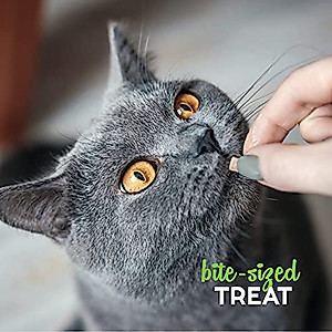 Cloud Star, Buddy Biscuit Grain Free Tender Chicken Gluten Free, 3 Ounce