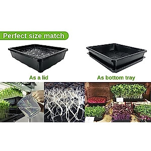 BeGrit Seed Starter Trays 5-Pack 15x12 inch Mesh Tray Plastic Plant Trays Garden Seedling Starter Kit Bonsai Training Pots Succulent Transport Pots with 5 Bases