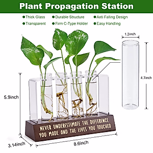 WelDesine Goodbye Gifts for Coworkers Leaving Gifts for Women, Planter Terrariums, Farewell Gifts for Friends, Going Away Gift for Boss Leaving Job, Retirement New Job Gifts for Men on Desk, SPJ001