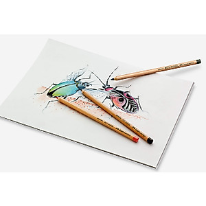 Faber-Castell Pitt Pastel Pencil - Rose Carmine #124