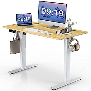 SMUG Height Adjustable Electric Standing Desk, 48 x 24 Inches Sit Stand up Desk Home Office Computer Desk, Ergonomic Desk with Memory Controller Standing Table Natural