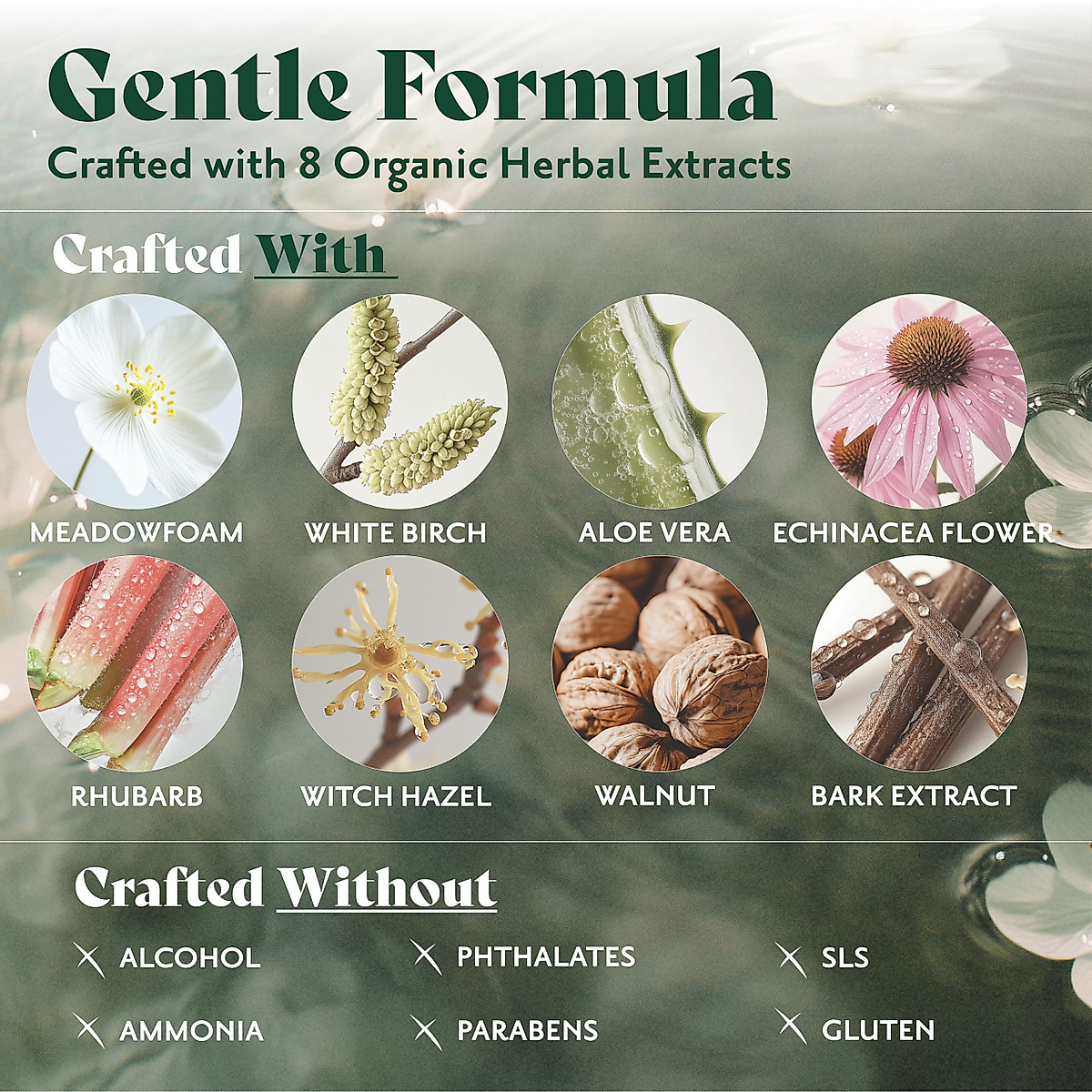 Herbatint Permanent Hair Dye For Women - 7C Ash Blonde - For Up To 100% Gray Coverage of Resistant Gray Hair - Ammonia-Free, Alcohol-Free & Vegan - Salon Influenced Hair Color 5.75 fl oz