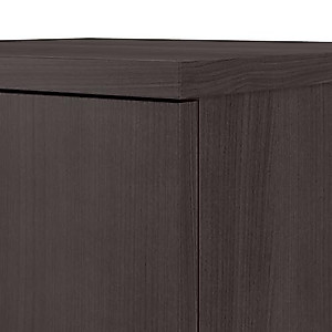 Bush Business Furniture Universal Narrow Clothing Storage Cabinet with Door and Shelves, Storm Gray