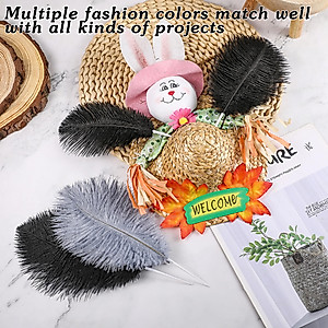 SOGUGOM Black Craft Ostrich Feathers - 30PCS 6-8 inch Ostrich Feathers Kit for Centerpieces, Kindergarten Crafts, Dream Catchers and DIY Projects(Black)