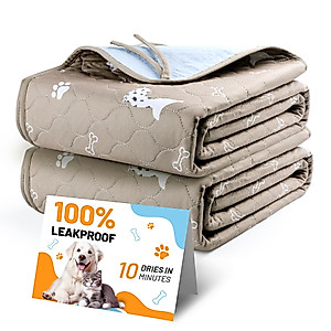 Washable Pee Pads for Dogs, Reusable Puppy Pads Waterproof, 2 Pack Dog Pee Pads, Potty Pads for Dogs, Super Absorbent, Add 8 Lanyards, Puppy Training Pads (31x36 Inch ,Pack of 2)