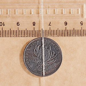 Amaney 0.8mm Elastic String, Stretchy Bracelet String Crystal String Bead Cord for Bracelet, Beading and Jewelry Making