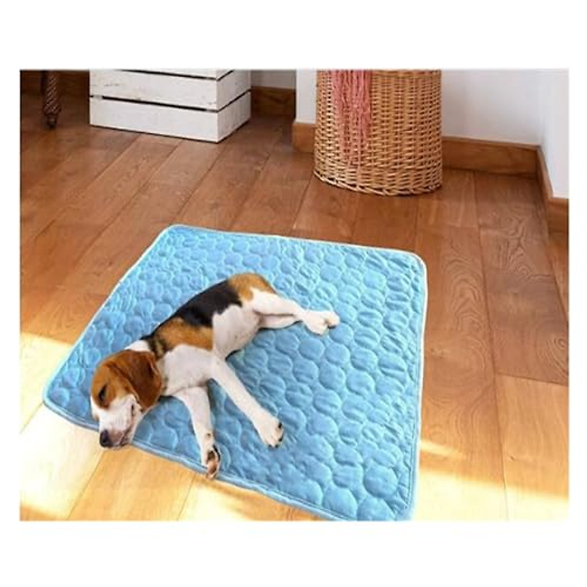 ITOMEN Pet Bed Pet Mat Breathable Washable Pad Dog Cat Blanket Kennel Crate and Bed Sleeping Ice Silk Comfort (Color : Light Blue, Size : XS 40x30 cm)