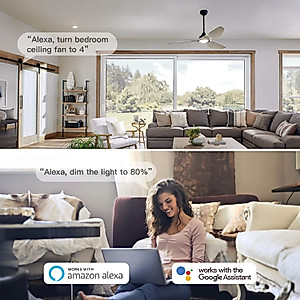 TREATLIFE Smart Ceiling Fan Control and Dimmer Light Switch 2PACK, Neutral Wire Needed, 2.4Ghz Single Pole Wi-Fi Fan Light Switch Combo, Works with Alexa, Google Home and SmartThings, Remote Control