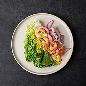 AmorArc Stoneware Dinner Plates Set of 4, 10.25 Inch Reactive Matte Glaze Ceramic Plates Set, Modern Dinnerware Dish set for Kitchen,Microwave, Dishwasher Safe, Scratch Resistant - Ivory