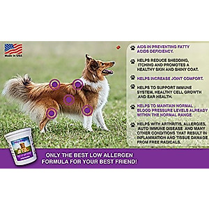 #1 Premium Antarctic Krill Oil Soft Chews for Dogs | Rich in Omega 3 | Astaxanthin | Vitamin E | For Skin and Coat | Low Allergen | Low Calorie | cGMP Certified | Made in USA | 60 Savory Soft Chews