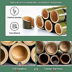 QQXX Bamboo Shoe Cabinet,Modern Entryway Shoe Storage Cabinet with Rattan Doors,Flip Shoe Rack Cabinet Shoe Organizer,Premium Storage Cabinet for Hallway Bathroom Kitchen(4tiers-31.5", Green)