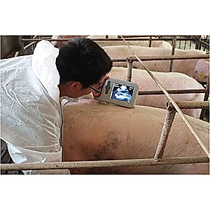 MLSJM Ultrasound Scanner,Pig Veterinary Ultrasound Scanner Machine Kit,Veterinary Farm Animals for Pig Pregnancy, Rechargeable Smart B-Ultrasound Handscan