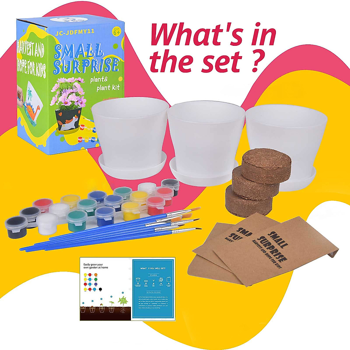 JC-JDFMY11 Paint & Plant Flower Planting Growing Kit - Kids Gardening Birthday Drawing Toys -Crafts for Girls & Boys - STEM Art & Handicraft Project Activities,Arts and Crafts for Kids 6,8-12