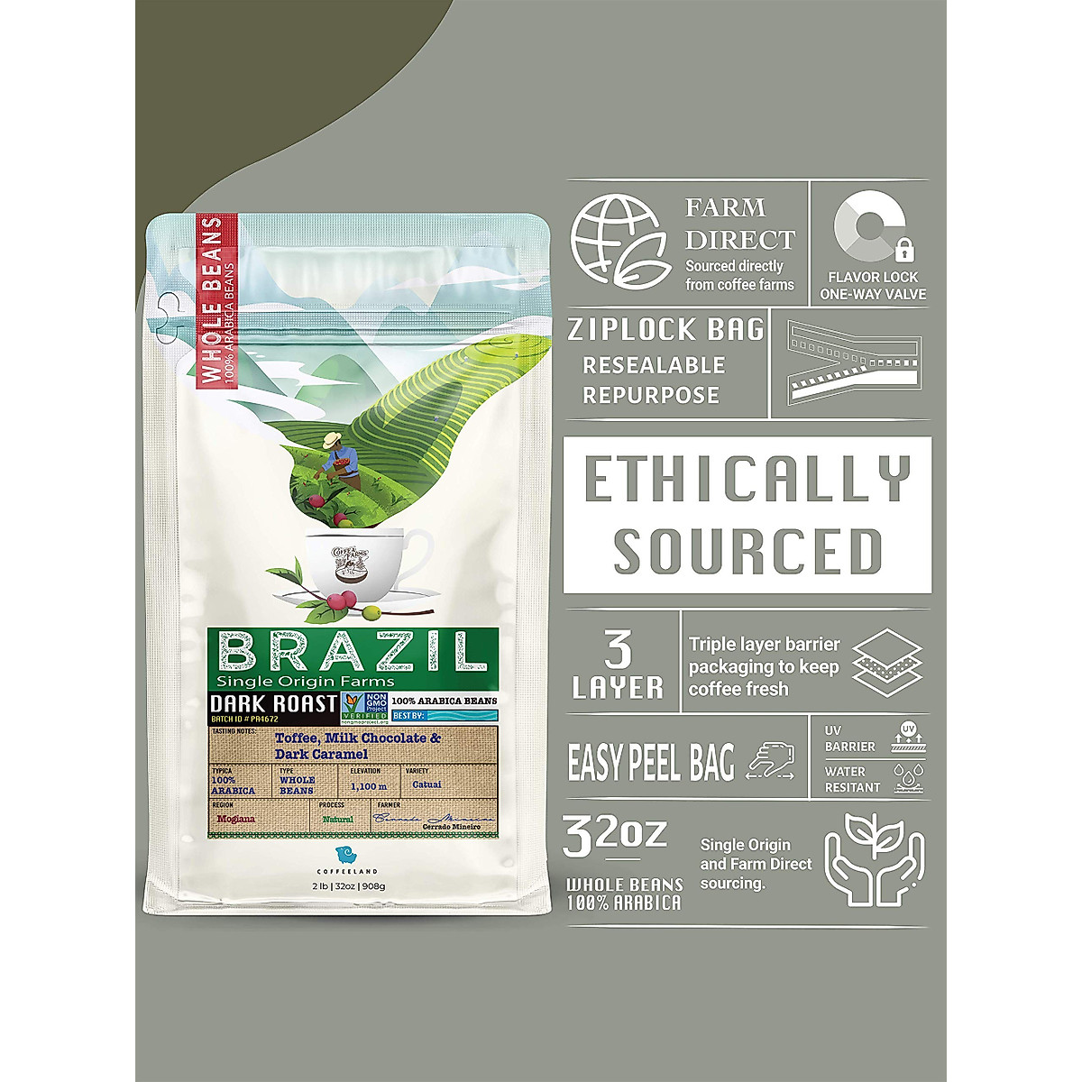 32 Ounce (2 LB) NON-GMO Single Origin Dark Roast Brazil Coffee, Low Acidity all Natural, Single Origin Whole Bean Coffee Notes: Rich Dark Caramel, Milk Chocolate and Sweet Toffee - CoffeaFarms by Coffeeland