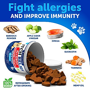Artullano Dog Allergy Relief Chews - Dog Itching Skin Relief Treatment Pills - Itchy and Paw Licking - Anti-Itch Support - Immune Skin & Coat Supplement - Dry Skin and Hot Spots - 180 Treats