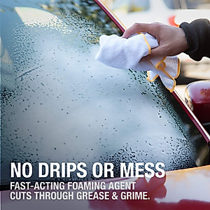 NOCO Squeaky E800 16 Oz Professional-Grade Automotive Aerosol Car Glass Cleaner Spray Can with Streak-Free Fasting Acting Foaming Action