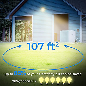 CINOTON 42W LED Barn Light Dusk to Dawn Outdoor Lighting, Black 1 Pack & 26W LED Wall Pack Light with Dusk to Dawn Sensor Warm White 2 Pack-Gray