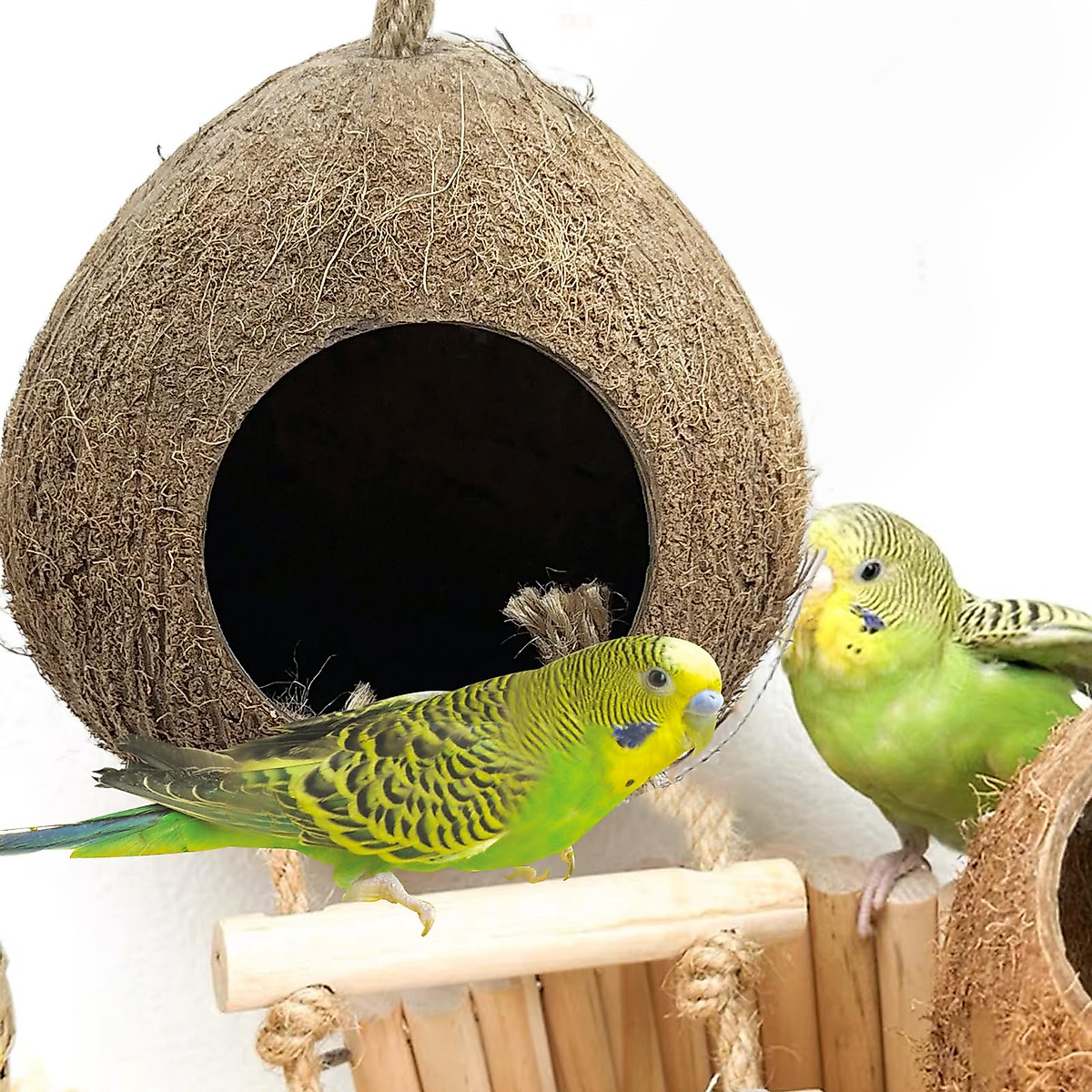 Bird Coconut Hides Nest with Ladder Parrot Cage Hanging Natural Coco Shell Hut Hide Toy with Wooden Bridge Hollow Hideaway Toys for Parakeet Lovebird Finch Canary 2PCS