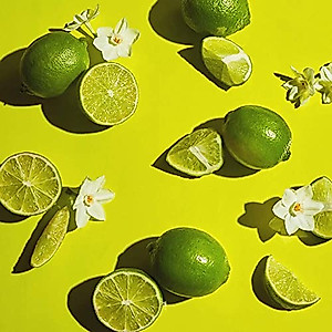 Softsoap Antibacterial Liquid Hand Soap, Fresh Citrus Scent Hand Soap, 11.25 Ounce, 6 Pack