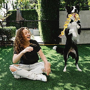 Caletoo Dog Rope Toys for Small Dogs, Rope Chew Toys for Aggressive Chewers, 22 Inchs Long 6 Knots Puppy Teething Chew Toy, Tug of War Interactive Tough Tug Dog Toys, Yellow