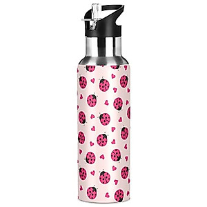 Cute Ladybugs and Hearts Insulated Water Bottle with Straw, Stainless Steel Sports Water Bottles, Double Wall Vacuum, Leakproof, BPA-Free 20 oz