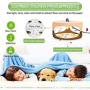 Flea Traps for Inside Your Home,Sticky Flea Trap,Flea Treatment with Light Refills and Sticky Pads,Electronic Flea Light Trap for Indoor,Flea Bombs for Home,Flea Killer for Home (Beige, 2 Pack)