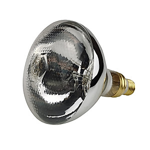 BONGBADA Heat Lamp Bulb P40 2 Pack Red Infrared Glass Lamp Bulb for Food Service, Brooder Bulb, Chicks, Pet, Bathroom, Light Therapy, Reptiles and Amphibian Use E26 Base (Clear, 125W)