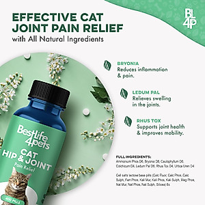Cat Hip and Joint Pain Relief Supplement - Cat Arthritis Pain Relief, Heal from Sprains, Inflammation and Injuries, Improve Mobility - Natural Easy-to-Swallow, Odorless, Tasteless - 400 Pills