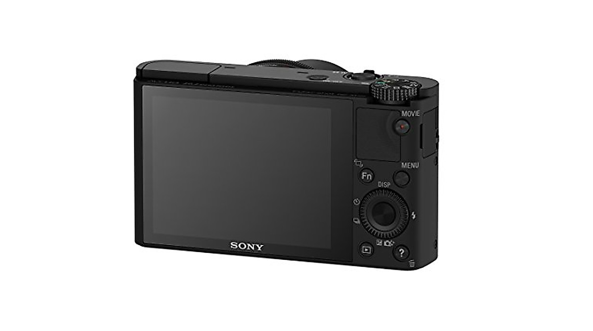 Sony RX100 Compact Digital Camera with 20.2 MP & ZEISS Lens