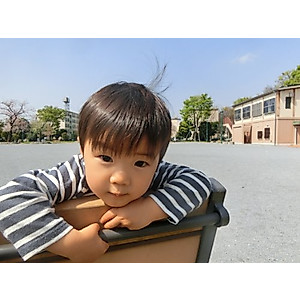 Casio High Speed Exilim Ex-ZR700 Digital Camera Brown EX-ZR700BN - International Version (No Warranty)