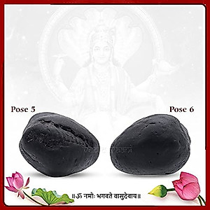 Vedic Vaani Lord Rishikesh Rajanikant Chandrama Netra Shaligram Shila for Peace and Prosperity (Pack of 4)