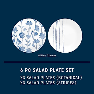 Corelle 6-Piece 8.5" Vitrelle Glass Lunch Plates, Lightweight, Scratch Resistant - Botanical Stripes