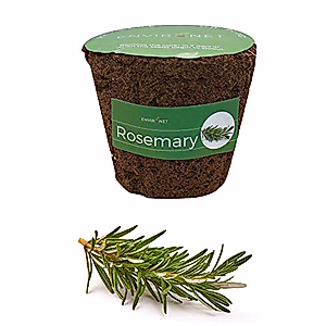 Environet 3 Inches Preseeded Herb Seeds Starter Plug for Soil and Hydroponic Applications,Seeds Starter Sponge Pod Replacement for Hydroponic Garden kit (Rosemary)