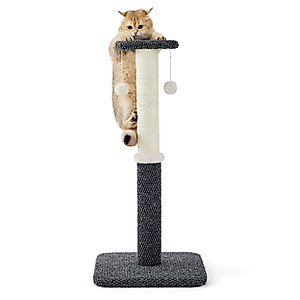 Lesure 34" Tall Cat Scratching Post - Highly Resistant Carpet Scratch Post, Premium Sisal Rope Scratch Posts Kitten and Adult Cats, Sturdy Large Scratch Pole with Hanging Ball, Grey