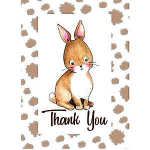 A Paper Smile Woodland Animal Thank You Cards Boxed Set 35 Note Cards