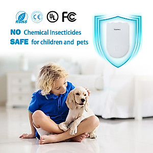 Fly Trap Indoor, Plug in Flying Insect Trap for Fruit Fly, Gnat, Moth, UV Mosquito Bug Trap Catcher with Night Light, Noiseless and Easy to Use, Ideal for House Bedroom Kitchen(1 Device+ 5 Refills)