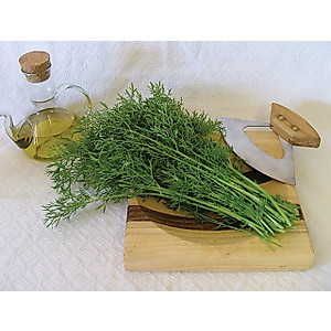 Burpee Confetti Cilantro Seeds 150 seeds