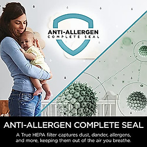 Shark CZ351 Pet Canister Vacuum, Bagless, Corded with Self-Cleaning Brushroll & PowerFins, Navy & Silver