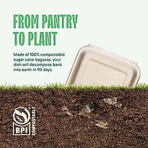 100% Compostable Clamshell Take Out Food Containers [8X8" 50-Pack] Heavy-Duty Quality to go Containers, Natural Disposable Bagasse, Eco-Friendly Biodegradable Made of Sugar Cane Fibers