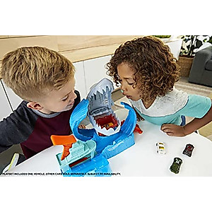 Hot Wheels Set of 5 Color Shifters Cars or Trucks in 1:64 Scale, Color Change Toy Vehicles (Styles May Vary) (Amazon Exclusive)